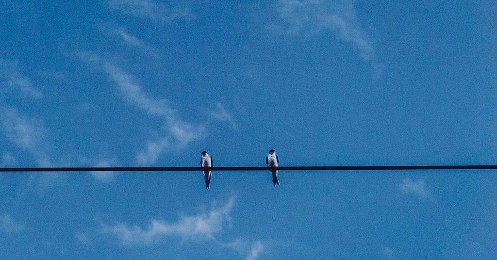 VM O2 steps up wholesale partner programme | Premium | TelcoTitans.com