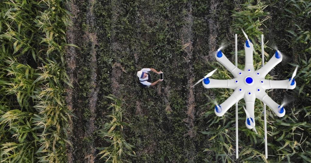 Liberty flags AWS partnership, taking NaaS ‘to the next level ...