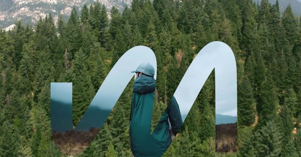 Meridiam accelerates German fibre play, with Vodafone support | Network ...